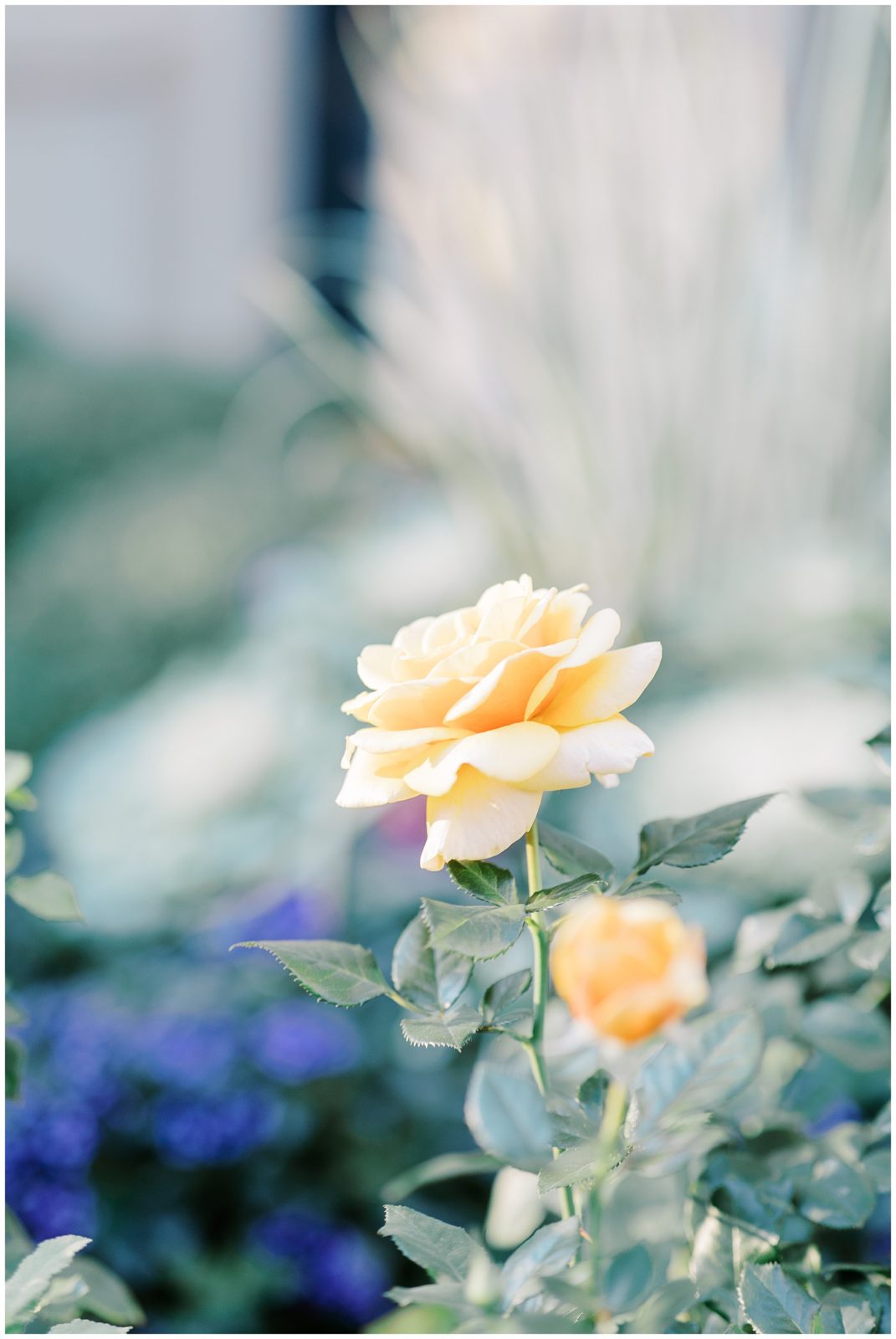 Intimate Boston Engagement | Boston Engagement Photographer