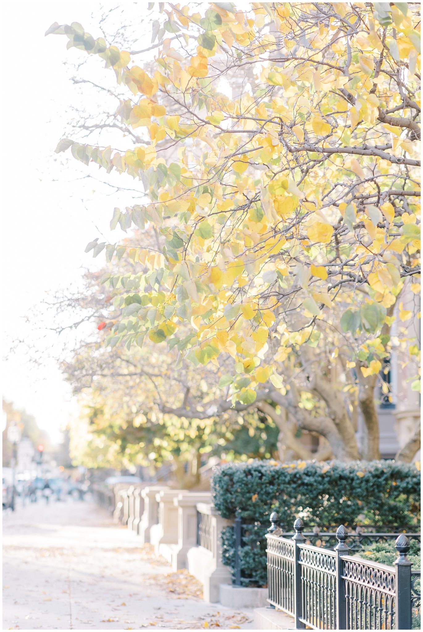 Intimate Boston Engagement | Boston Engagement Photographer